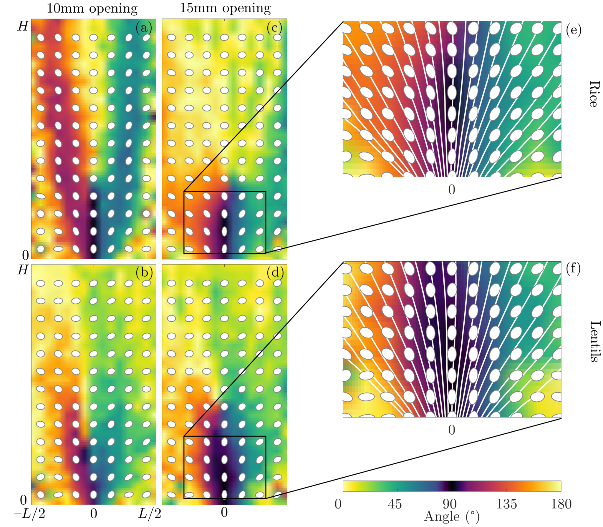 Elongated grains – François Guillard